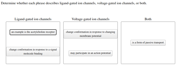 Solved Determine whether each phrase describes ligand-gated | Chegg.com