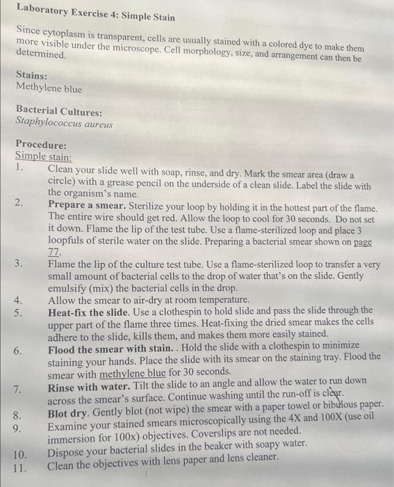 Solved Laboratory Exercise 4: Simple Stain Since cytoplasm | Chegg.com