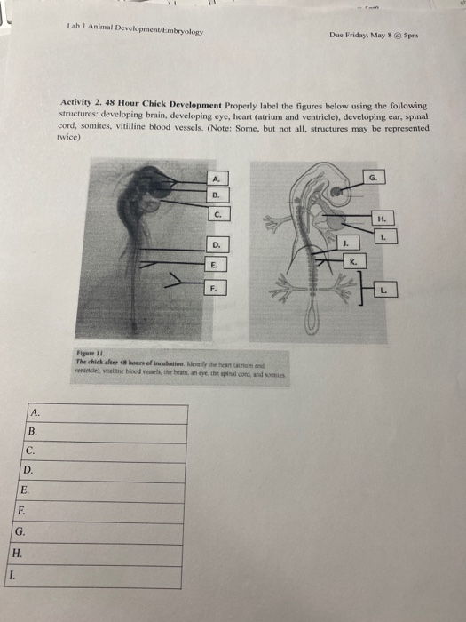 Solved I need to solve all activity 2 and activity 3 to | Chegg.com