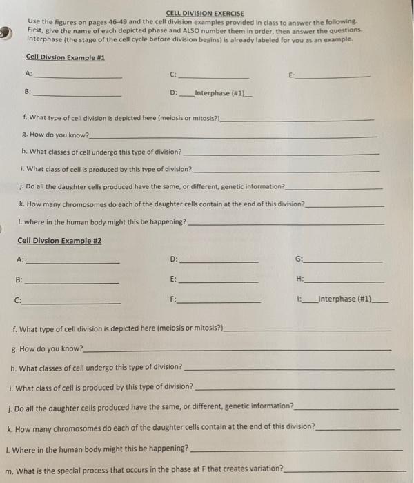 Solved CELL DIVISION EXERCISE Use the figures on pages 46-49 | Chegg.com