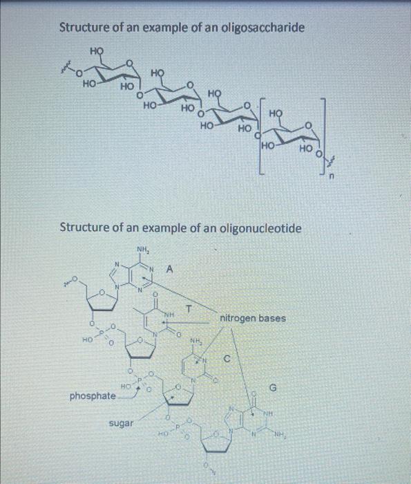 Structure of an example of an oligosaccharide | Chegg.com