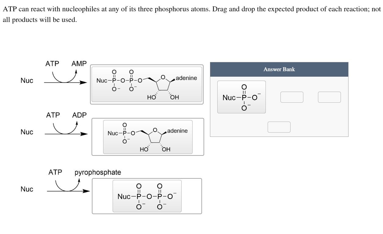 Solved ATP can react with nucleophiles at any of its three | Chegg.com