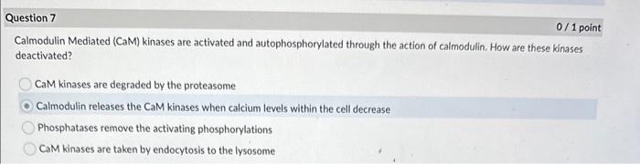 Solved Calmodulin Mediated (CaM) kinases are activated and | Chegg.com
