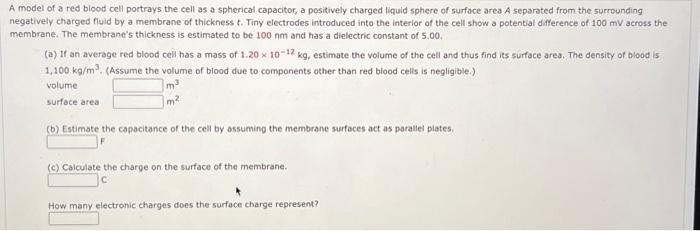 Solved A model of a red blood cell portrays the cell as a | Chegg.com
