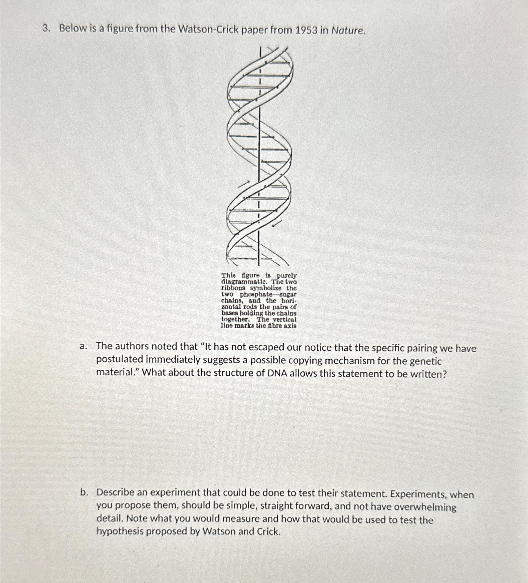 Solved Below is a figure from the Watson-Crick paper from | Chegg.com