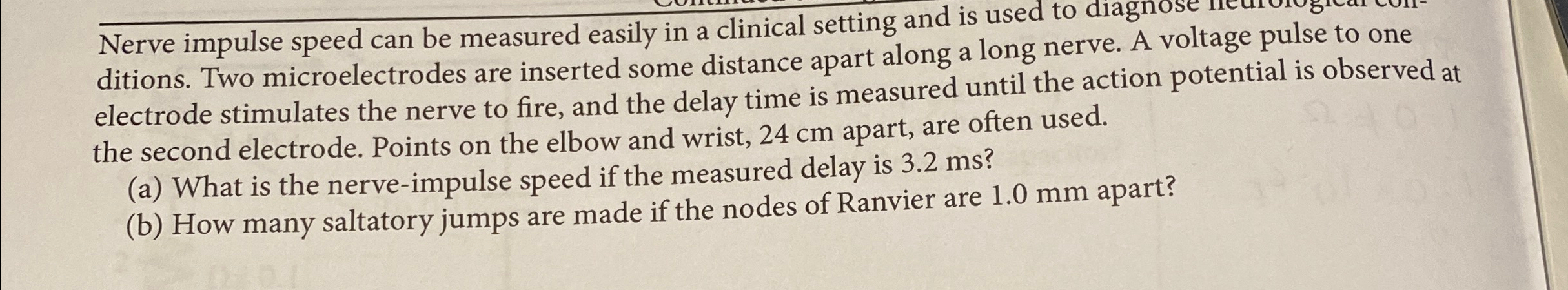 Solved Nerve impulse speed can be measured easily in a | Chegg.com