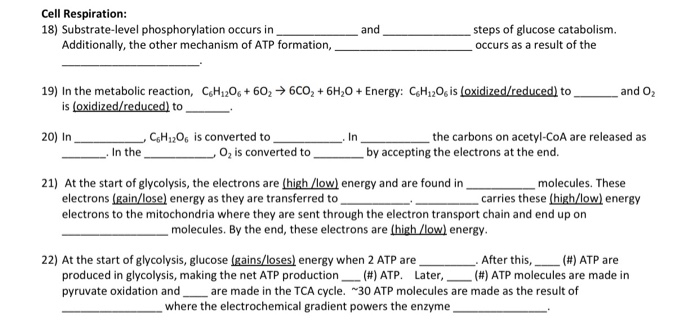 Solved Cell Respiration: 18) Substrate-level phosphorylation | Chegg.com