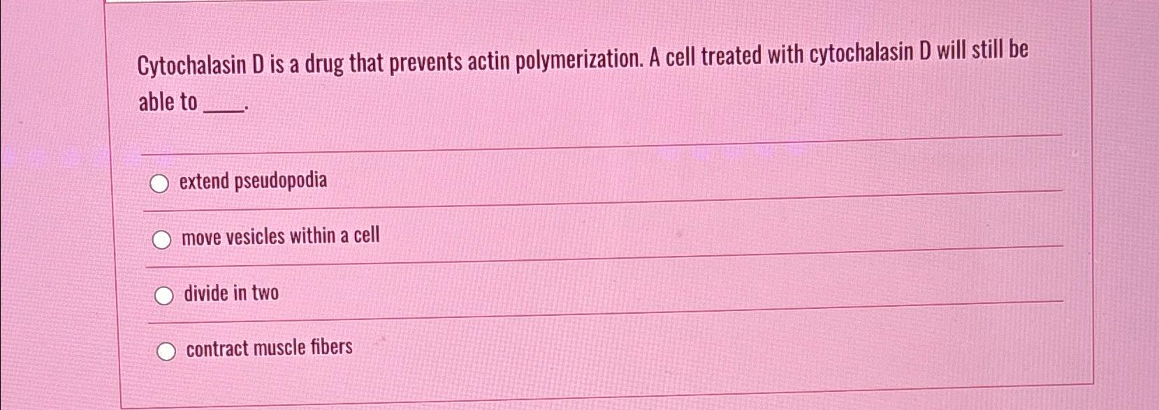 Solved Cytochalasin D is a drug that prevents actin | Chegg.com