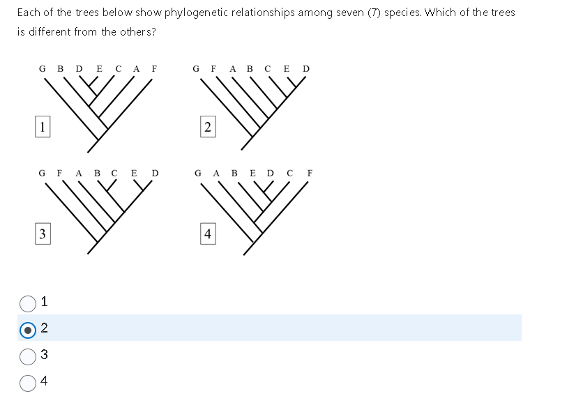 Solved Each of the trees below show phylogenetic | Chegg.com