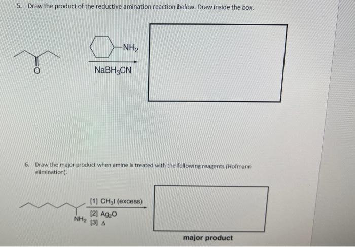 Solved 5. Draw the product of the reductive amination | Chegg.com