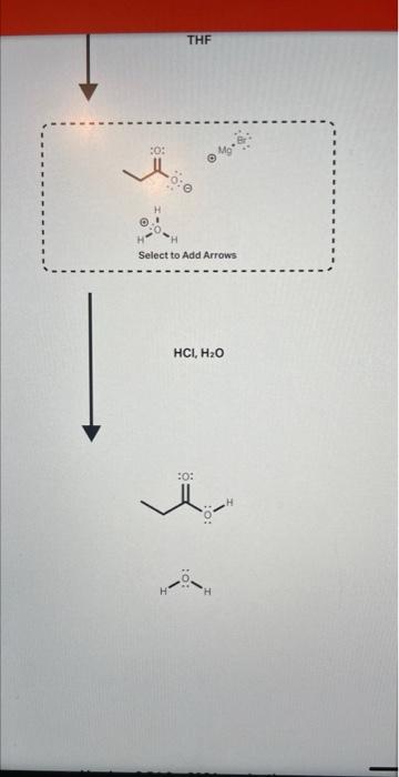 Solved Draw the starting monomeric structure that would lead | Chegg.com