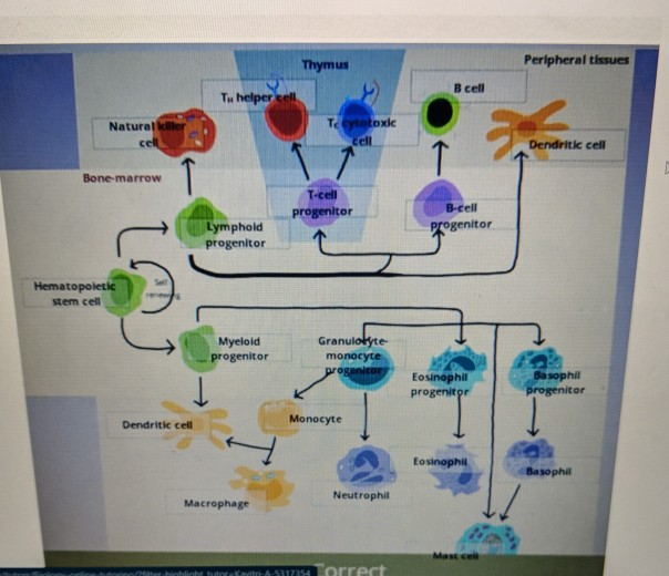 Solved Using the flowchart attached to this question, write | Chegg.com