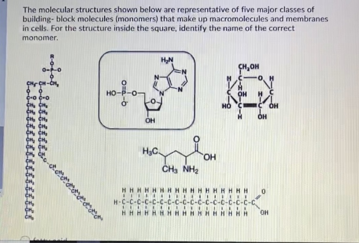 Solved The molecular structures shown below are | Chegg.com