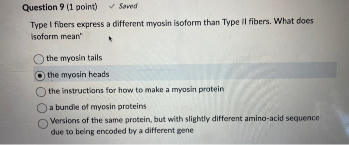 Solved Type I fibers express a different myosin isoform than | Chegg.com