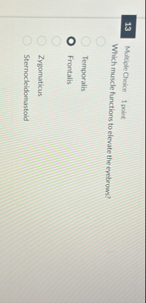 Solved 13Multiple Choice 1 ﻿pointWhich muscle functions to | Chegg.com