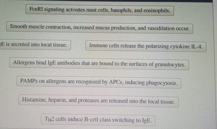 [Solved]: FceRI signaling activates mast cells, basophils, a