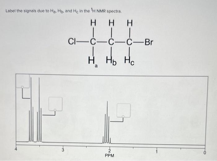 Solved Label the signals due to Ha,Hb, and HC in the 1H NMR | Chegg.com