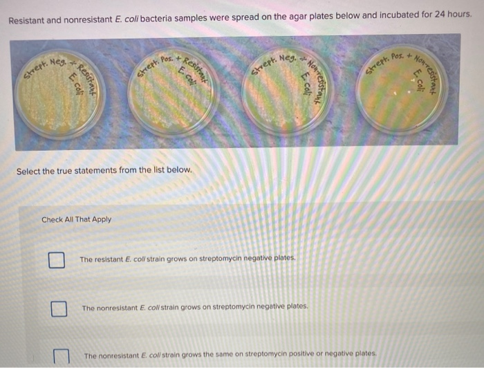 Solved Resistant and nonresistant E. coli bacteria samples | Chegg.com