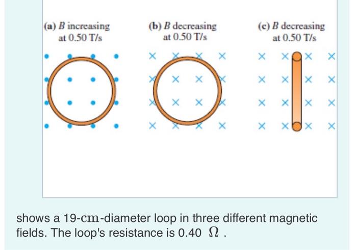 Solved shows a 19-cm-diameter loop in three different | Chegg.com