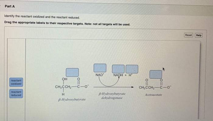Solved Oxidation, Reduction, Oxidizing Agents, and Reducing | Chegg.com