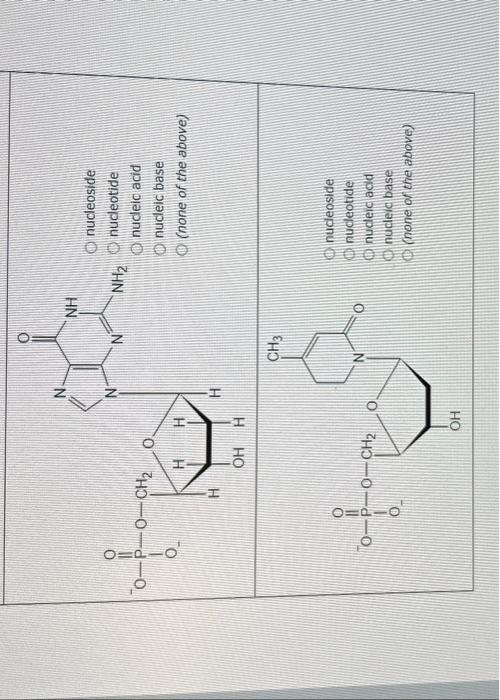 Solved Classify each molecule: nucleoside nucleotide | Chegg.com
