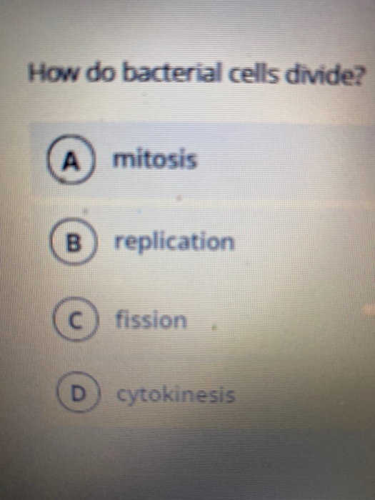 Solved How do bacterial cells divide? A) mitosis B) | Chegg.com