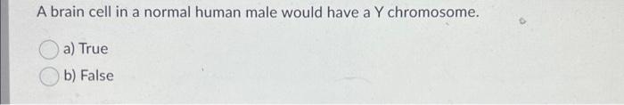 Solved A brain cell in a normal human male would have a Y | Chegg.com