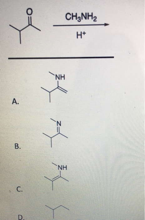 Solved CH3NH2 H+ | Chegg.com