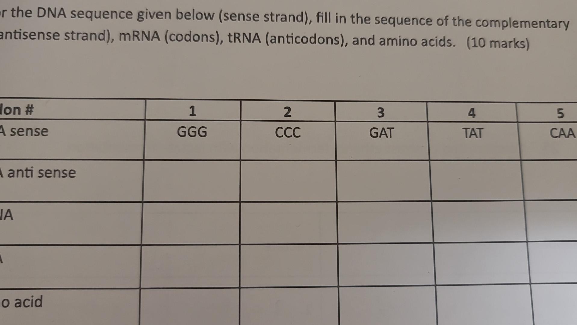 r the DNA sequence given below (sense strand), fill | Chegg.com