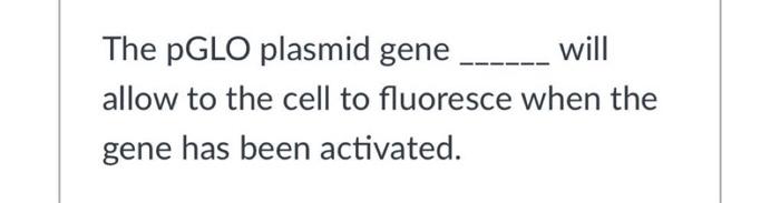 Solved The PGLO plasmid gene gives the cell the ability to | Chegg.com