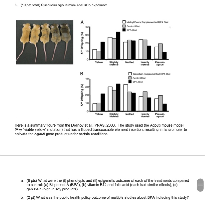 Solved 8. (10 pts total) Questions agouti mice and BPA | Chegg.com