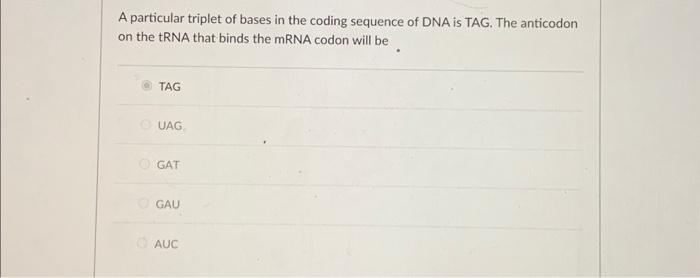 Solved A particular triplet of bases in the coding sequence | Chegg.com