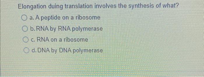 Solved Elongation duing translation involves the synthesis | Chegg.com
