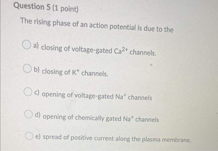 Solved Question 5 (1 point) The rising phase of an action | Chegg.com