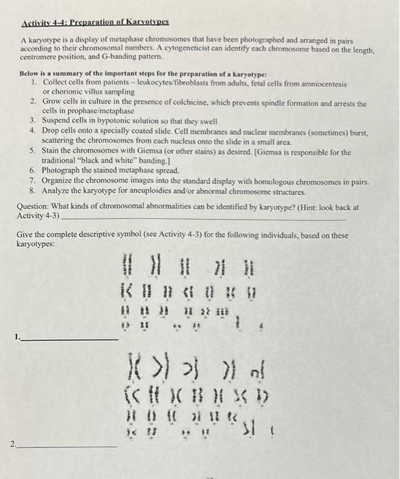 Solved Activity 4-4: Preparation of Karyotyees A karyotype | Chegg.com