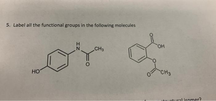 Solved 5. Label all the functional groups in the following | Chegg.com