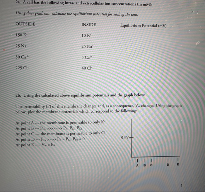 Solved 2b. Using the calculated above equilibrium potentials | Chegg.com