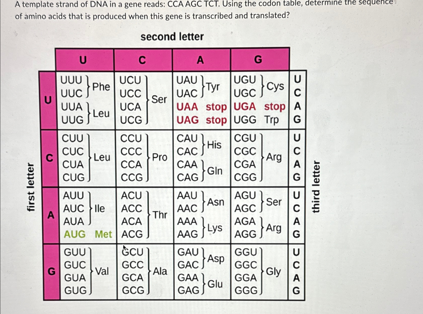 Solved A template strand of DNA in a gene reaes CCA AGC TCT | Chegg.com