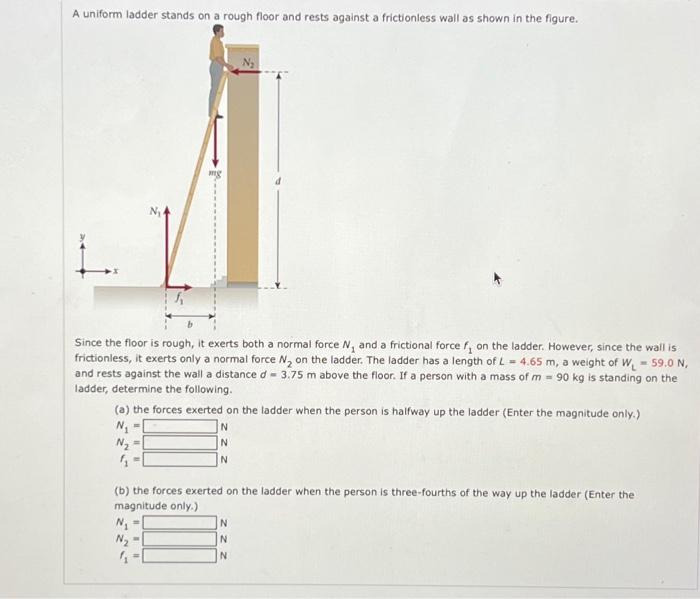 Solved A uniform ladder stands on a rough floor and rests | Chegg.com