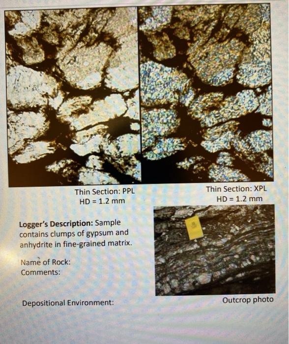 Solved Thin Section: PPL HD = 1.2 mm Thin Section: XPL HD = | Chegg.com