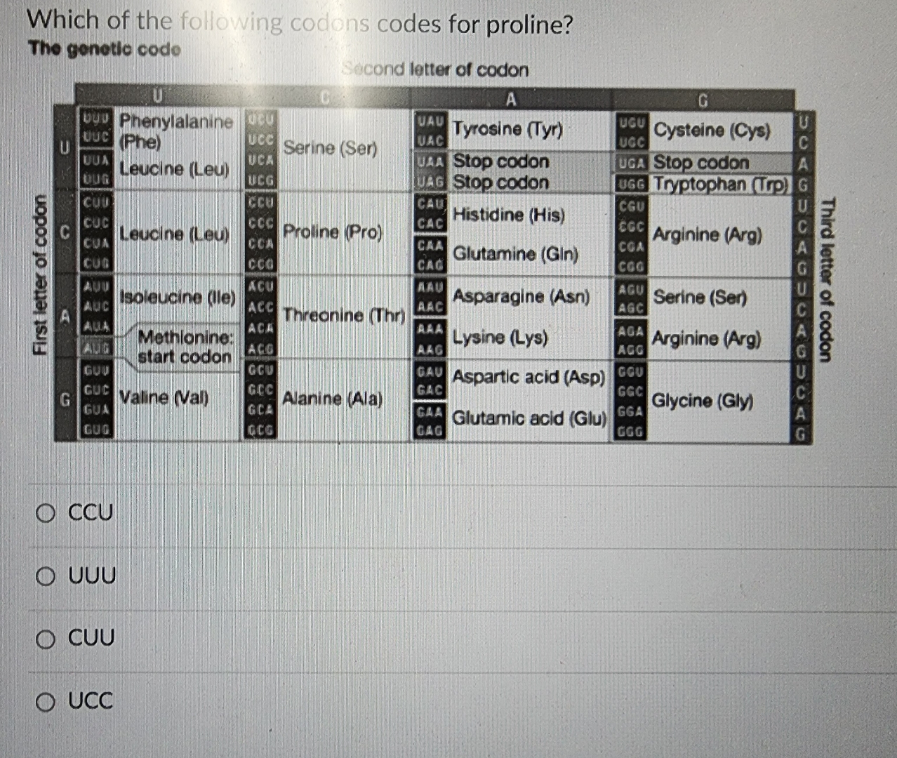 Solved Which of the following codons codes for proline?The | Chegg.com