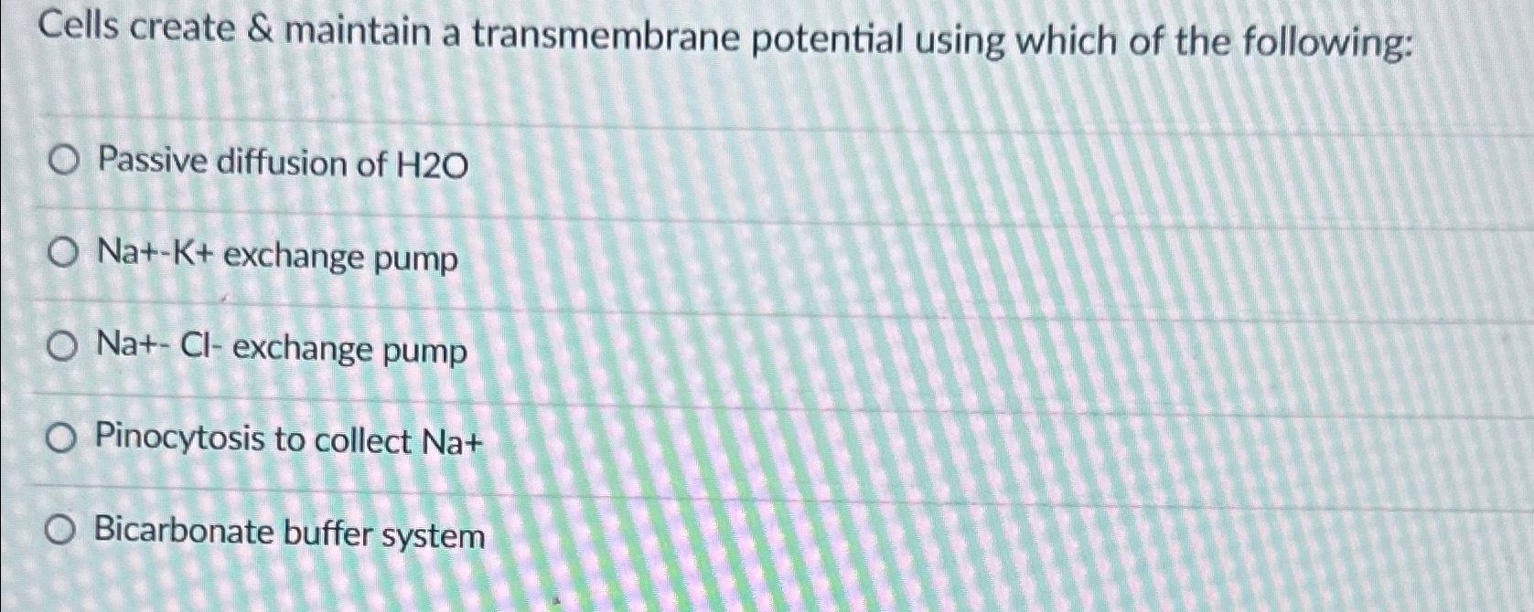 Solved Cells create & maintain a transmembrane potential | Chegg.com