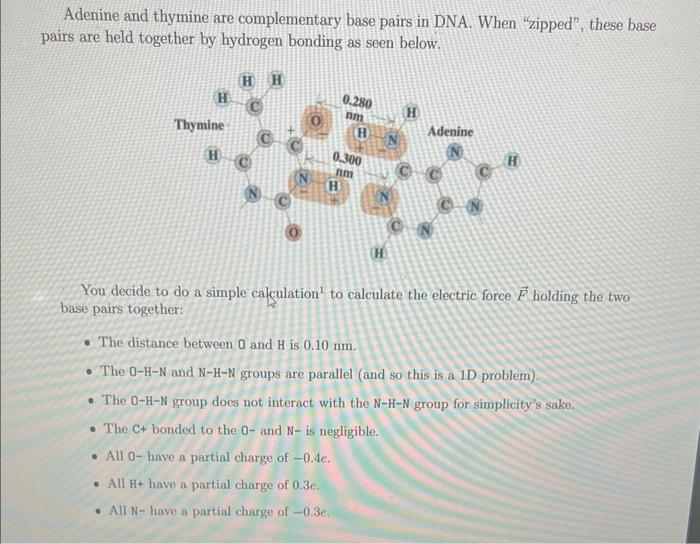 Solved Adenine and thymine are complementary base pairs in | Chegg.com