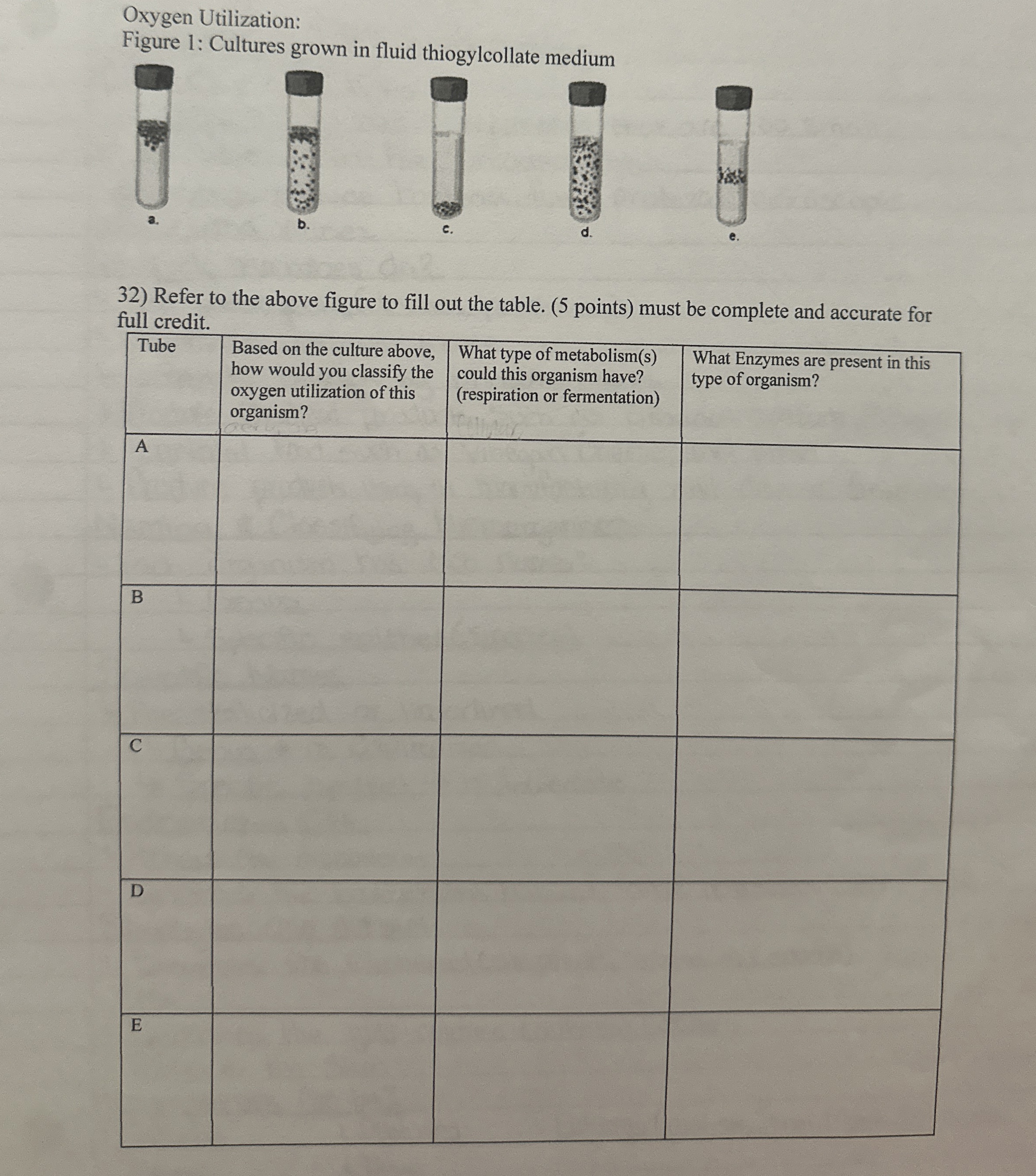 Solved Oxygen Utilization:Figure 1: Cultures grown in fluid | Chegg.com