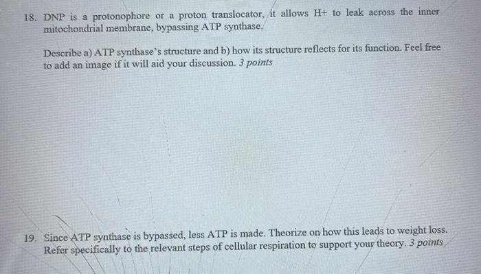 Solved 18. DNP is a protonophore or a proton translocator, | Chegg.com