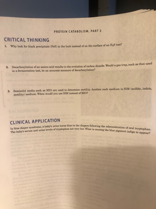 Name: Date: Lab Section: LABORATORY REPORT Protein | Chegg.com