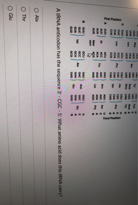 Solved Using the provided genetic code. Translate the | Chegg.com