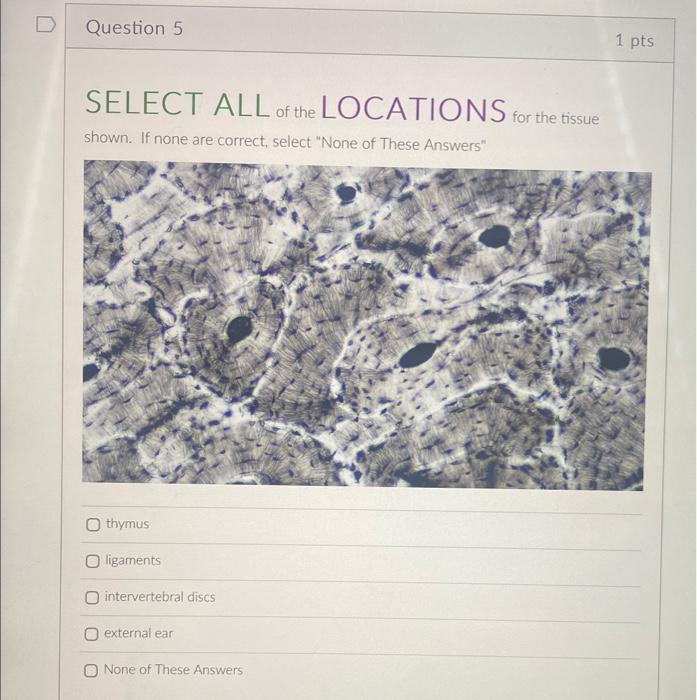 Solved IDENTIFY the FIBER. IDENTIFY the STRUCTURE/FEATURE | Chegg.com Solved IDENTIFY the FIBER. IDENTIFY the STRUCTURE/FEATURE | Chegg.com