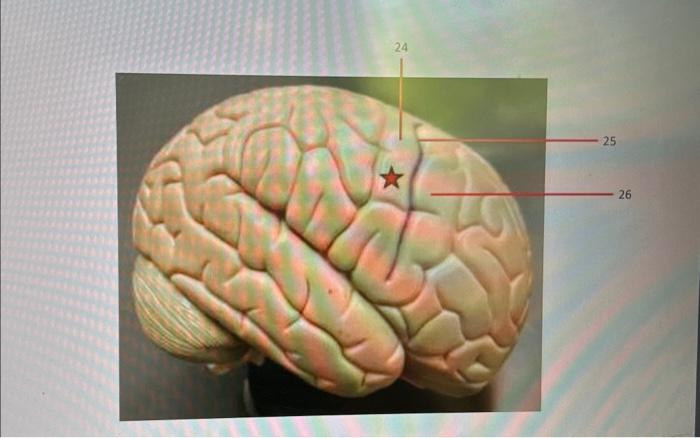 Solved help me identify names | Chegg.com Solved help me identify names | Chegg.com