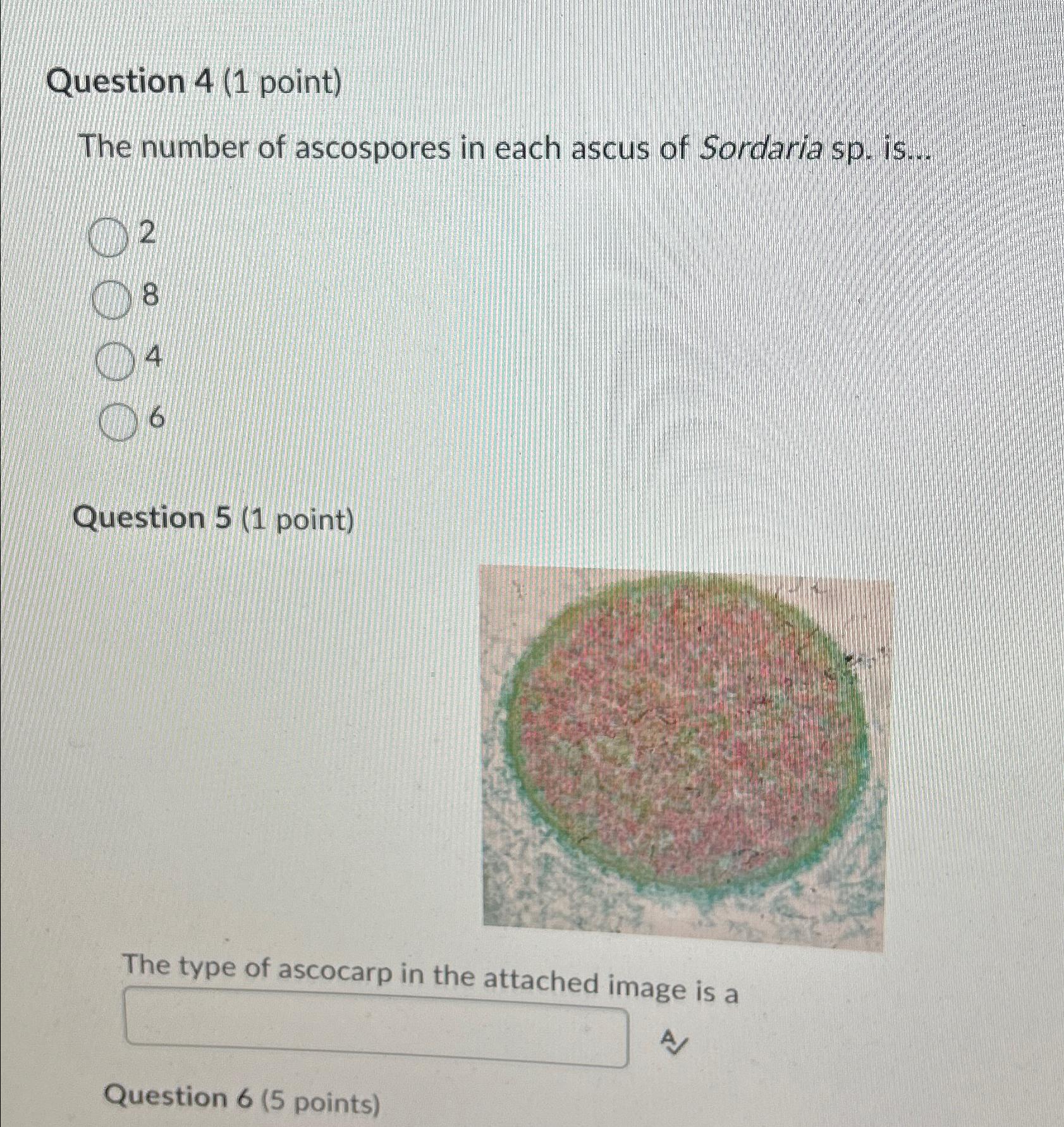 Solved Question 4 (1 ﻿point)The number of ascospores in each | Chegg.com